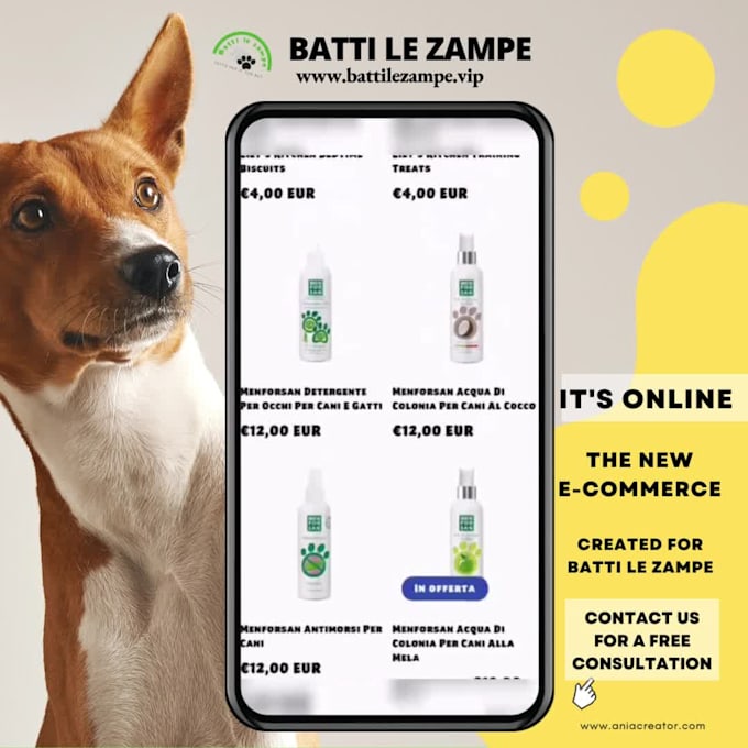 Design and build a shopify store ready to launch by Ania_creator | Fiverr