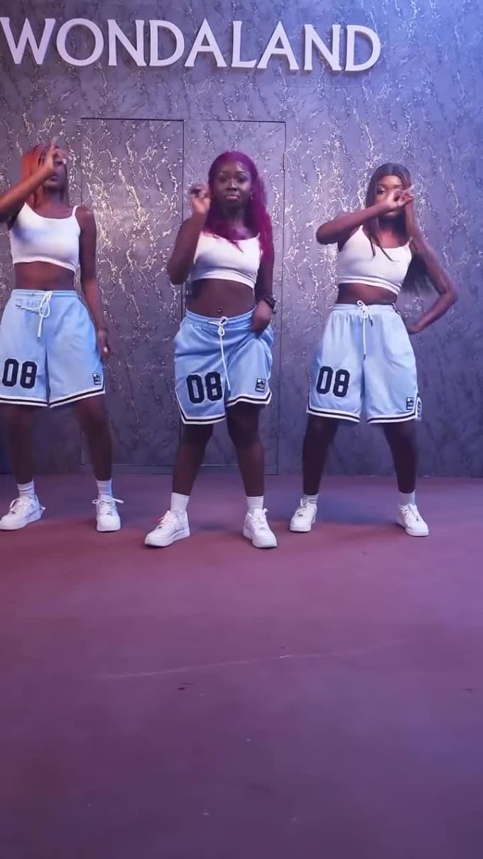 Perfect Shuffle Dance Tiktok Group Dance Afrobeat African Dance