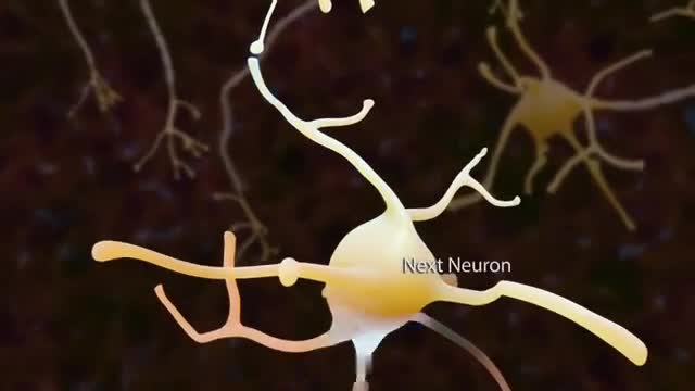 Create aesthetic 3d health anatomy, 3d surgery animation, 3d medical ...