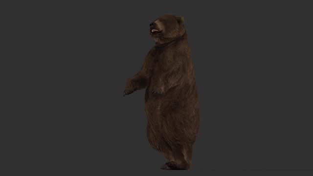 Create 3d animal animation cgi animal animation 3d animal model by ...