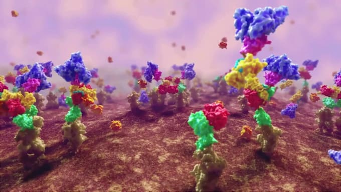 Create 3d medical animation immunotherapy cancer animation moa oncology ...