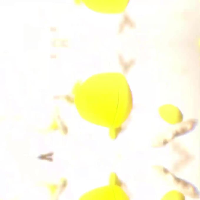 3d beverage animation, beverage animation, food animation, bottle by ...