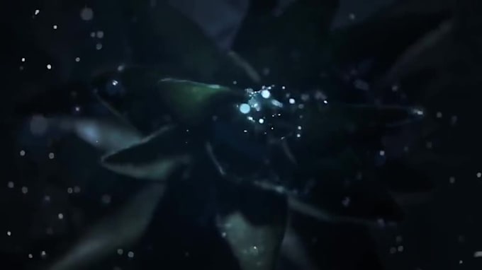 Render realistic 3d flower model, 3d cgi flower animation, 3d vfx plant model by Vidzur | Fiverr