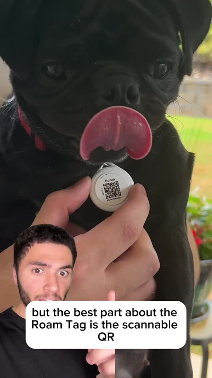 Create dog ugc content for your brand by Starwarsnaimad | Fiverr