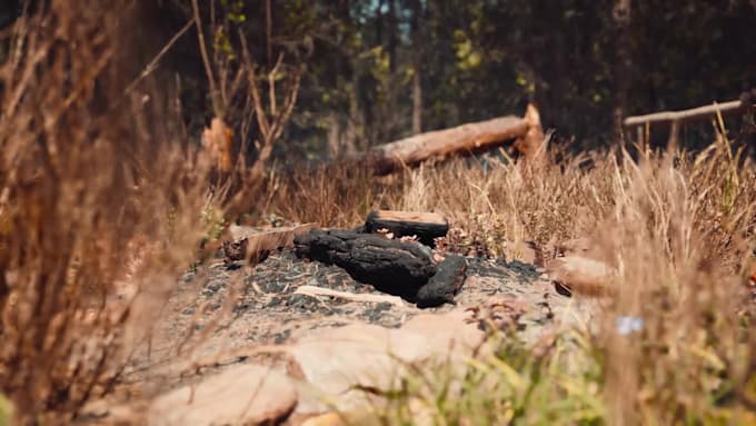 Do 3d cinematic environment design scenes blender unreal ue5 by ...