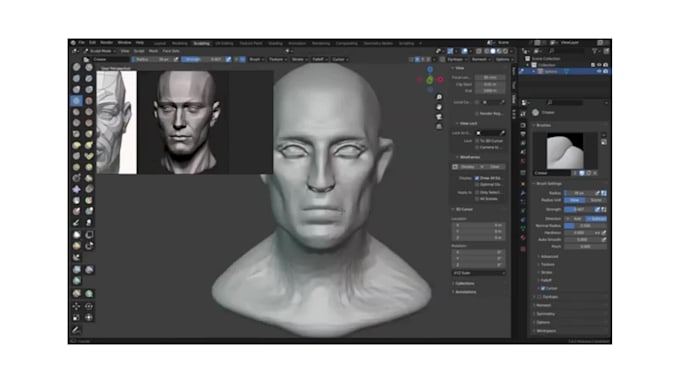 Sculpt 3d bust model 3d head model realistic face model character model ...