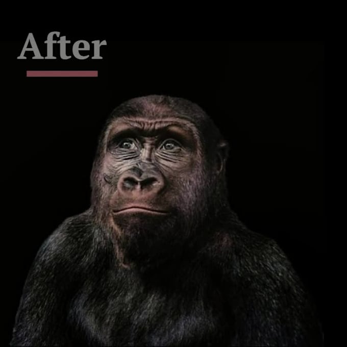 Convert any photo or image from black and white to colour by ...