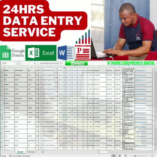 Accurately solve all data entry needs within 24hrs by Pachely_digital ...