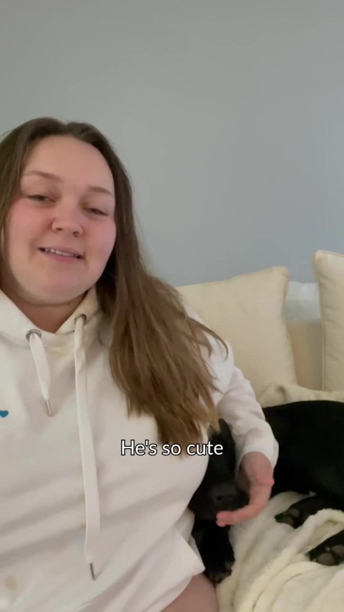 Create ugc videos for ig reels and tiktok for your pet brand by ...