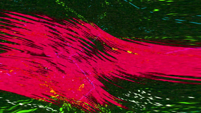 Create a glitch rgb logo reveal by Lukeivi | Fiverr