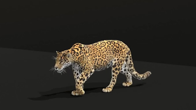 Create 3d animal animations, rigging, cgi vfx for realistic kids ...