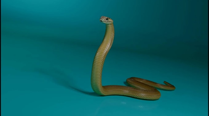 Do hyper realistic 3d animal animation, 3d animal model, animal design ...