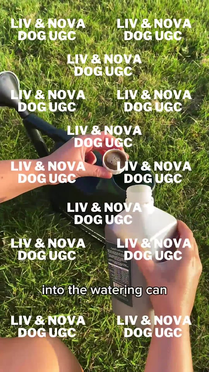 Create an engaging ugc video for your dog friendly brand, uk by Nova ...
