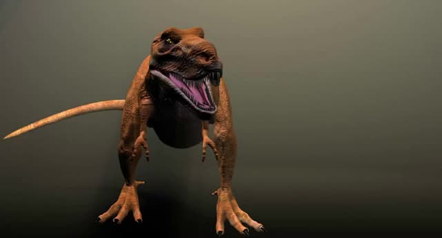 Do 3d animal animation, 3d cgi animal modelling, rigging, texturing ...