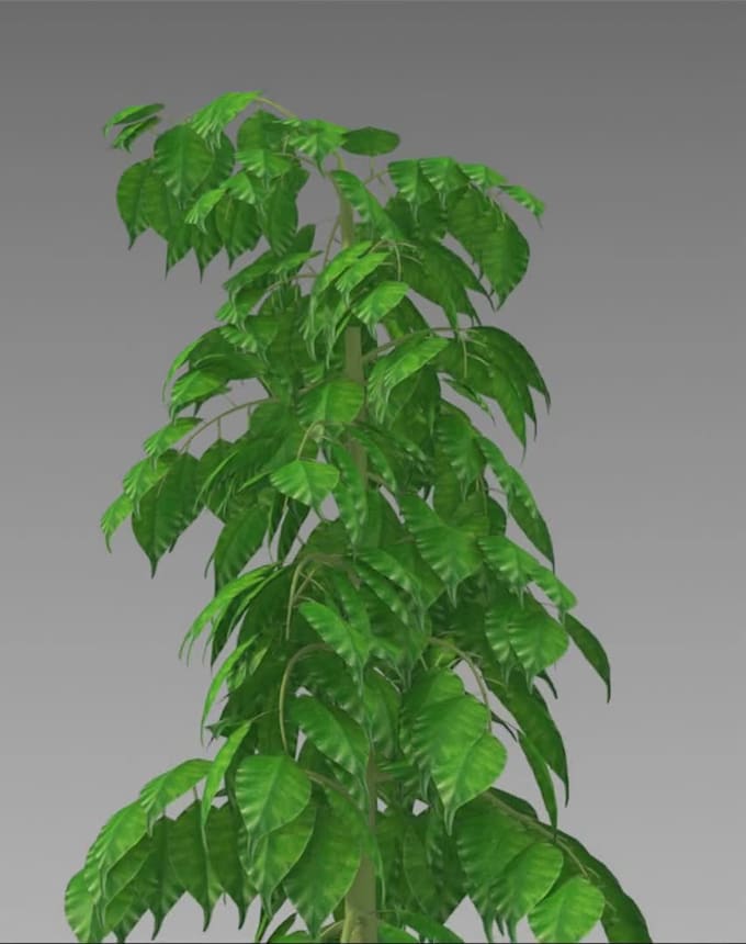 Render realistic 3d plant modelling, cgi flower design, 3d vfx plant ...