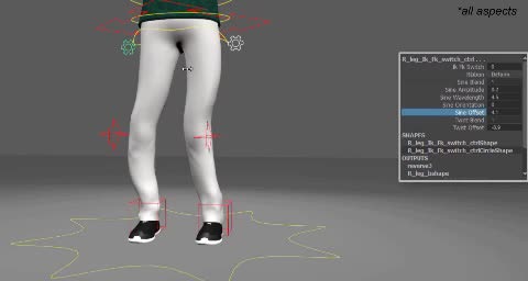 Setup 3d rigging in any software,iclone rig,control rig,arkit rokoko rig,animate by Loopietor ...
