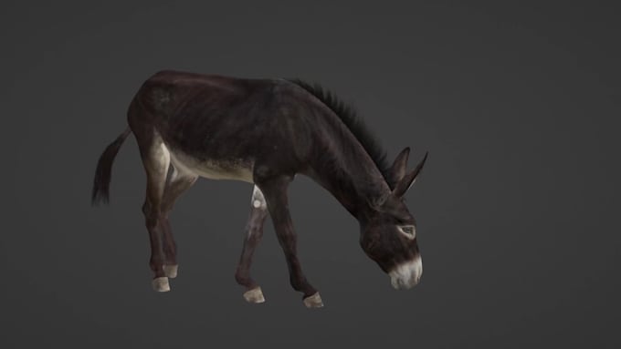 Do realistic 3d animal animation, 3d modelling, 3d rendering vfx, for ...