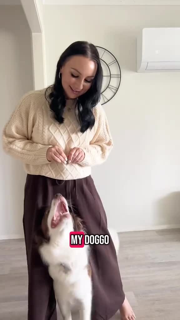 Create cute, authentic pet ugc videos to promote your brand by Candace ...