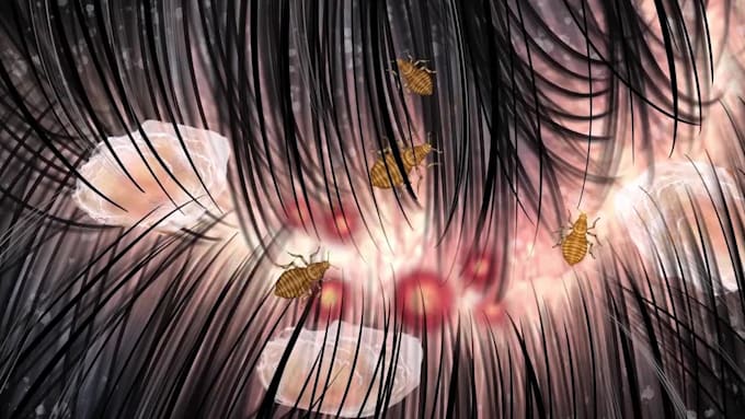 Professional asmr animation with adobe after effects by Firyal_fatin ...