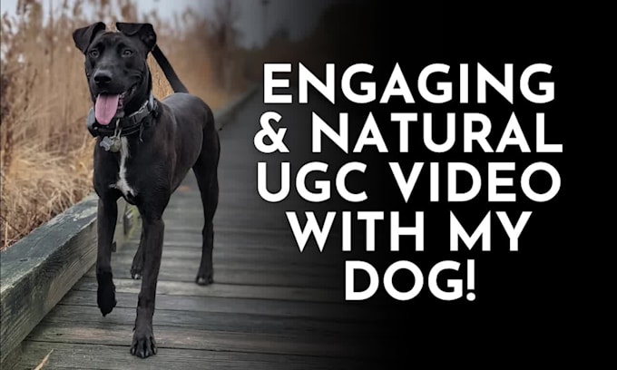 Create an engaging ugc video with my dog by Aliceeverdeenvo | Fiverr