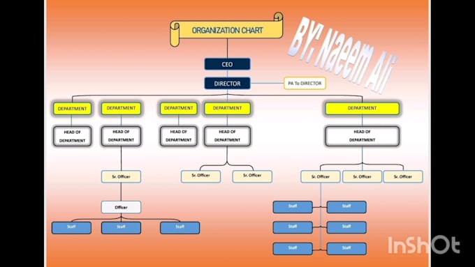 Create and design organizational flow charts by Nsvexperts | Fiverr