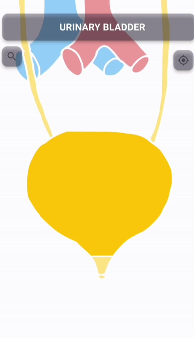 Create interactive learning experiences using flutter for android by Enhancerworx | Fiverr