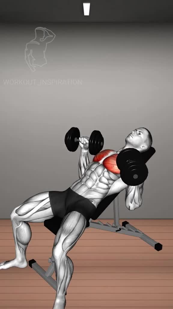 Do 3d workout animation, fitness animation, 3d gym workout animation by Gooons6 | Fiverr