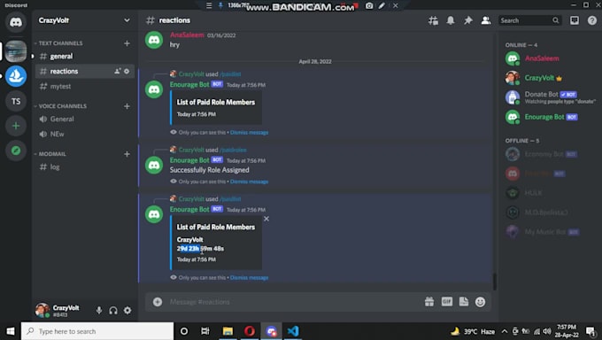 Make a professional discord bot, python node js by Core_volt | Fiverr