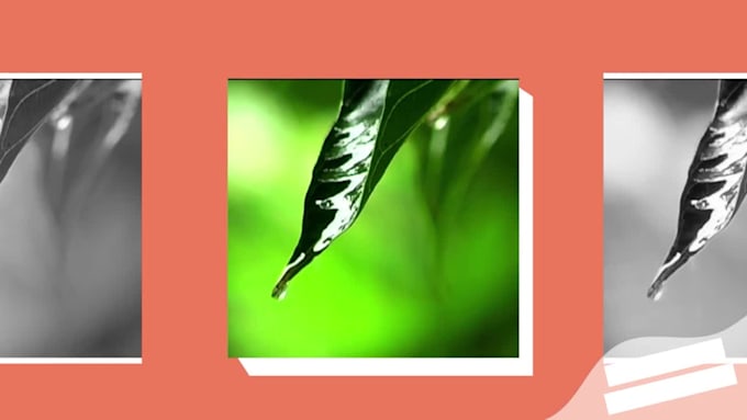 Convert Psd To Html Figma Image Xd To Html Responsive With Bootstrap By Iftekharalvee Fiverr 5027