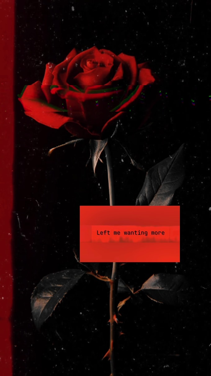 Create an animated album cover for you by Ember_371 | Fiverr