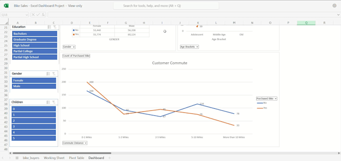 Do excel dashboards and data driven insights by Ketan_510 | Fiverr