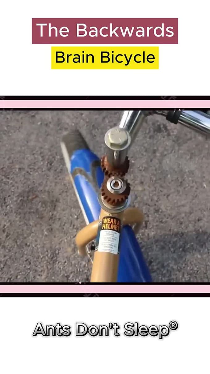 Write a unique science scripts for you by Asimscience | Fiverr