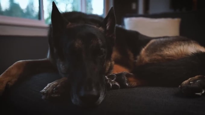 Design your web page with html css and java script by Fanig9383 | Fiverr