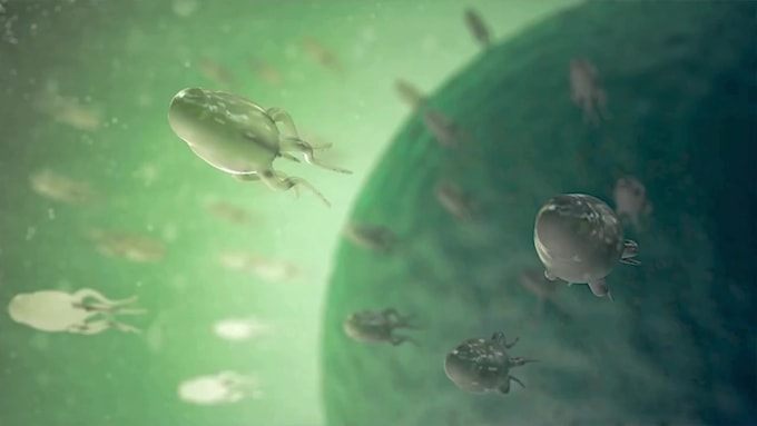 Create high quality 3d medical animation video, surgery, 3d medical ...