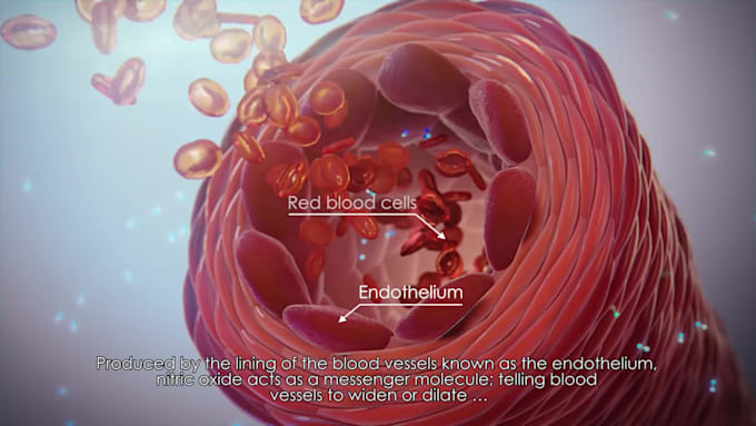Do 3d Medical Video Scientific Biotech Moa Blood Flow Pharmaceutical