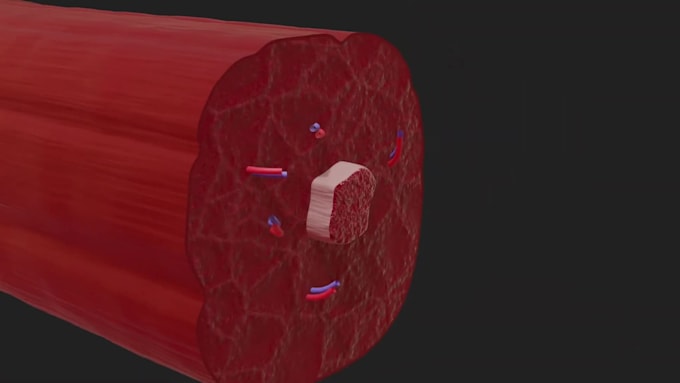 Do 3d medical video musculoskeletal human anatomy orthopedic 3d spine ...