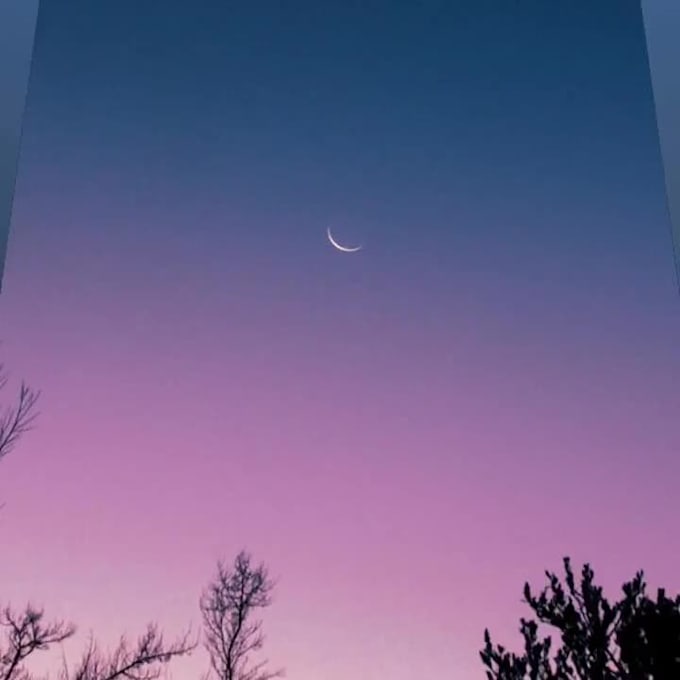 Creat the beautiful nft design you need by Shantanutalukda | Fiverr