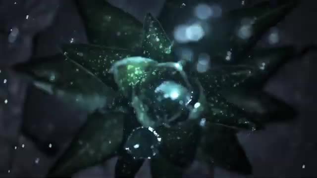 Render realistic cgi plant modeling 3d flower animation 3d cgi flower ...