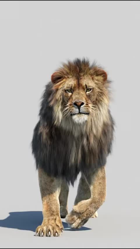 Cgi animal animation 3d animal model vfx composite 3d animal animation ...