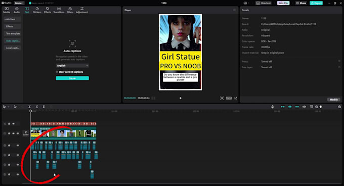 Add , align subtitles and captions to video by Ray_aii | Fiverr