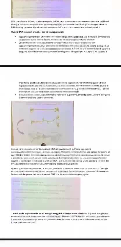 Transcribe every italian and english audio by Janliuc | Fiverr