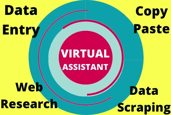 Be your data entry, copy paste virtual assistants by Ttasnim | Fiverr