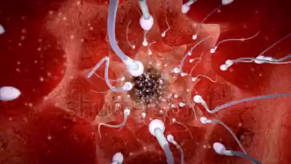 Design 3d anatomy animation, science laboratory animation, 3d medical ...