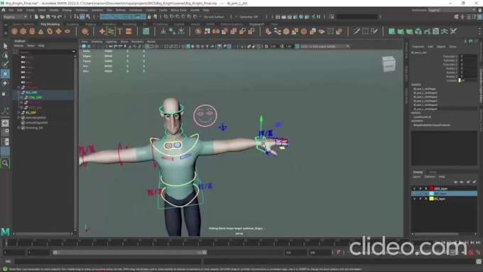 Professionally rig your character by Vespera_3d | Fiverr