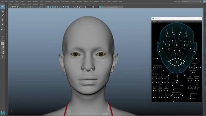 Rig and animate 3d model, ik fk rig, facial rig, rigify, walk cycle in ... Rig and animate 3d model, ik fk rig, facial rig, rigify, walk cycle in ...