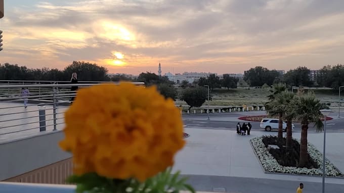 Take the best close up shots for you by Greatgreenfrog | Fiverr