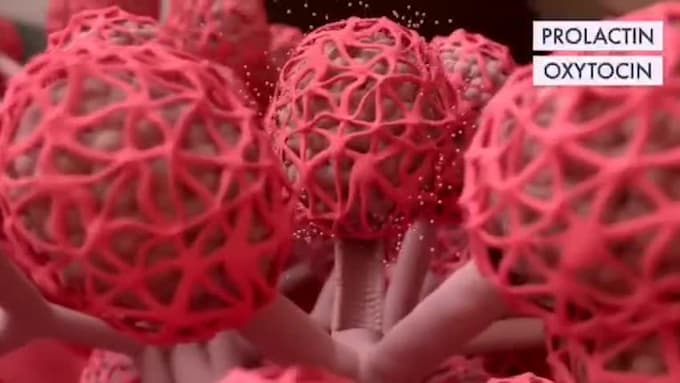 Create 3d medical animation videos, medical illustrations, 3d medical ...