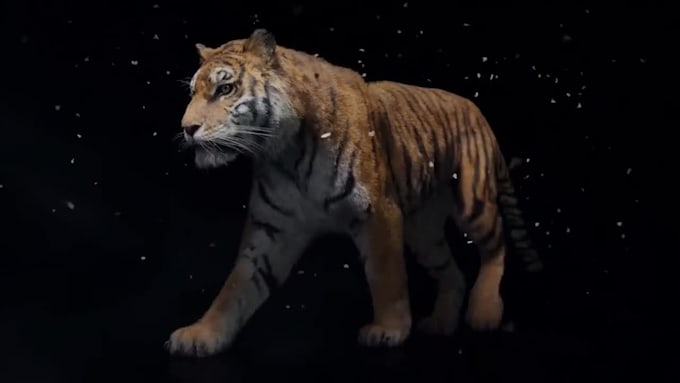 Do cgi animal animation, animal model, bird animation by Caminanah_4455 ...