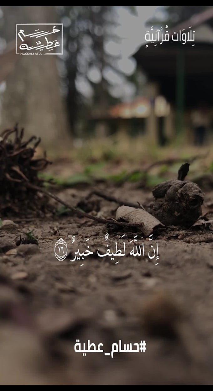 Design your quran recitation reels and shorts by Hossamatia97 | Fiverr