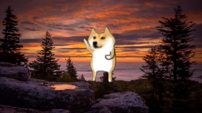 Make doge dance on any background you want by Puglax | Fiverr